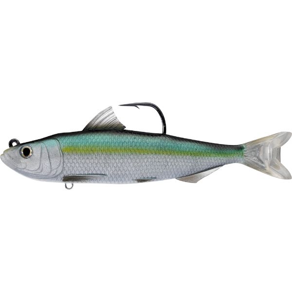 Live Sardine